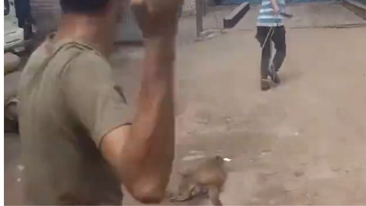 On Camera: Men Tie Rope Around Monkey’s Neck, Drag It Till Death In UP’s Bulandshahr; Held After ...