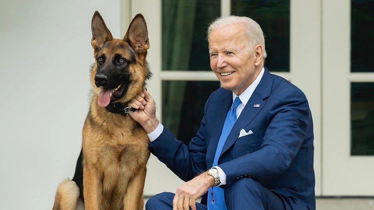 US President Joe Biden’s Dog ‘Commander’ Bites Secret Service Agent At ...