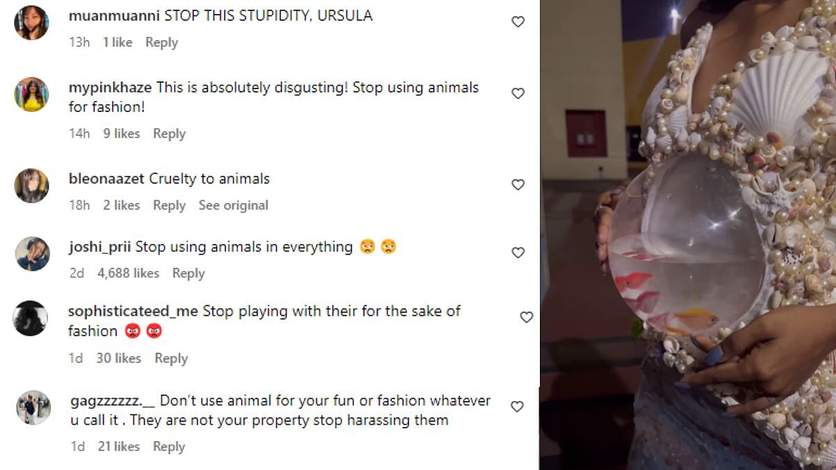 WATCH: Model Walks Ramp In Chennai Wearing 'Live Fish' Costume; Video ...