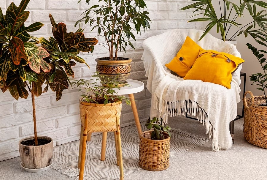 Amidst Festive Mayhem, Here’s How You Can Create a Relaxing Zen-like ...