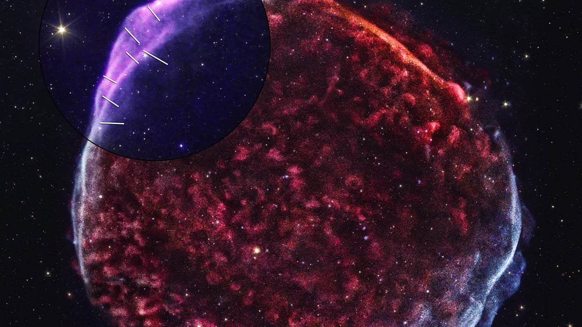 NASA's IXPE Telescope Reveals Stunning Polarised X-Ray Image of ...
