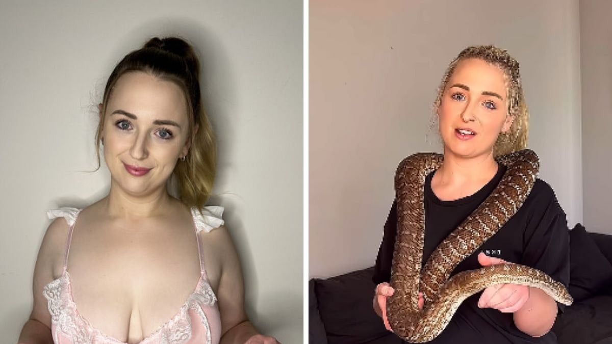 Australian Porn Star Dani Dabello's Partner Gets Attacked By Her Pet Python, Details Will Leave ...