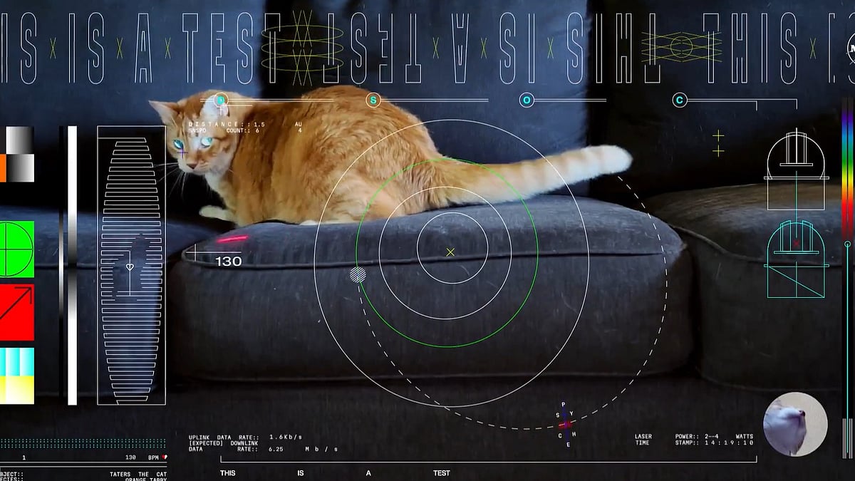WATCH: NASA Transmits Back Cat Video From Spaceship 31 Million km Away Using Laser