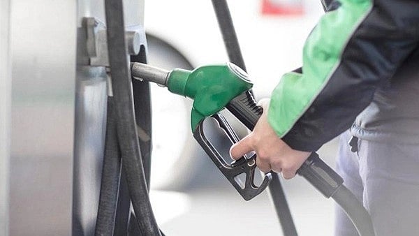 IEA Forecasts 6% Share For Biofuels In Road Transport By 2030: S&P GCI