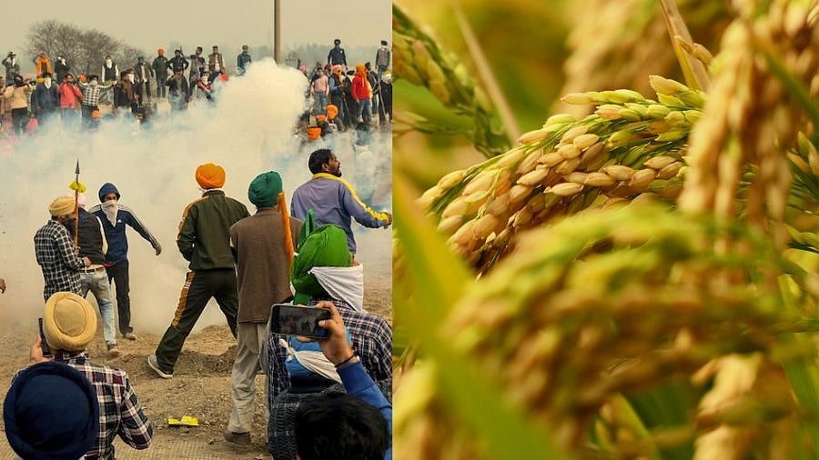 Farmers' Delhi Chalo Protest: From MSP Demand And Debate To Swaminathan ...