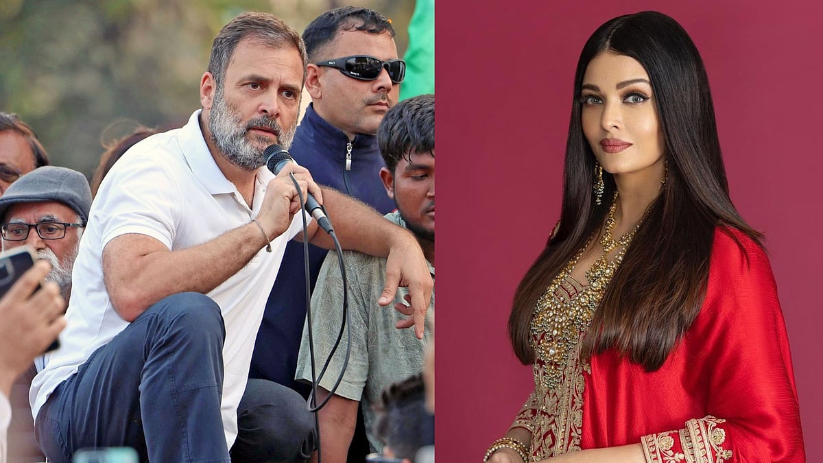 You Are King Of Lies Netizens React To Rahul Gandhis Latest Gaffe Of Amitabh Aishwarya