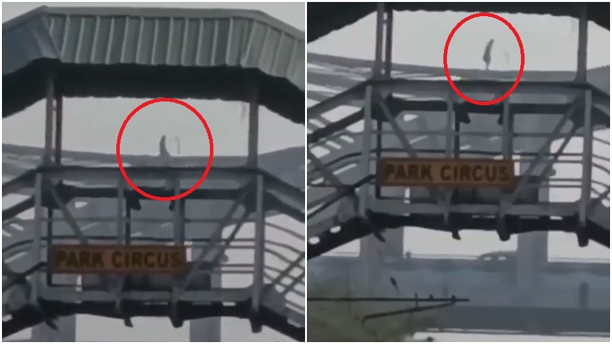 VIDEO: Man Offers Namaz On Top Of Maa Flyover At Park Circus Railway ...