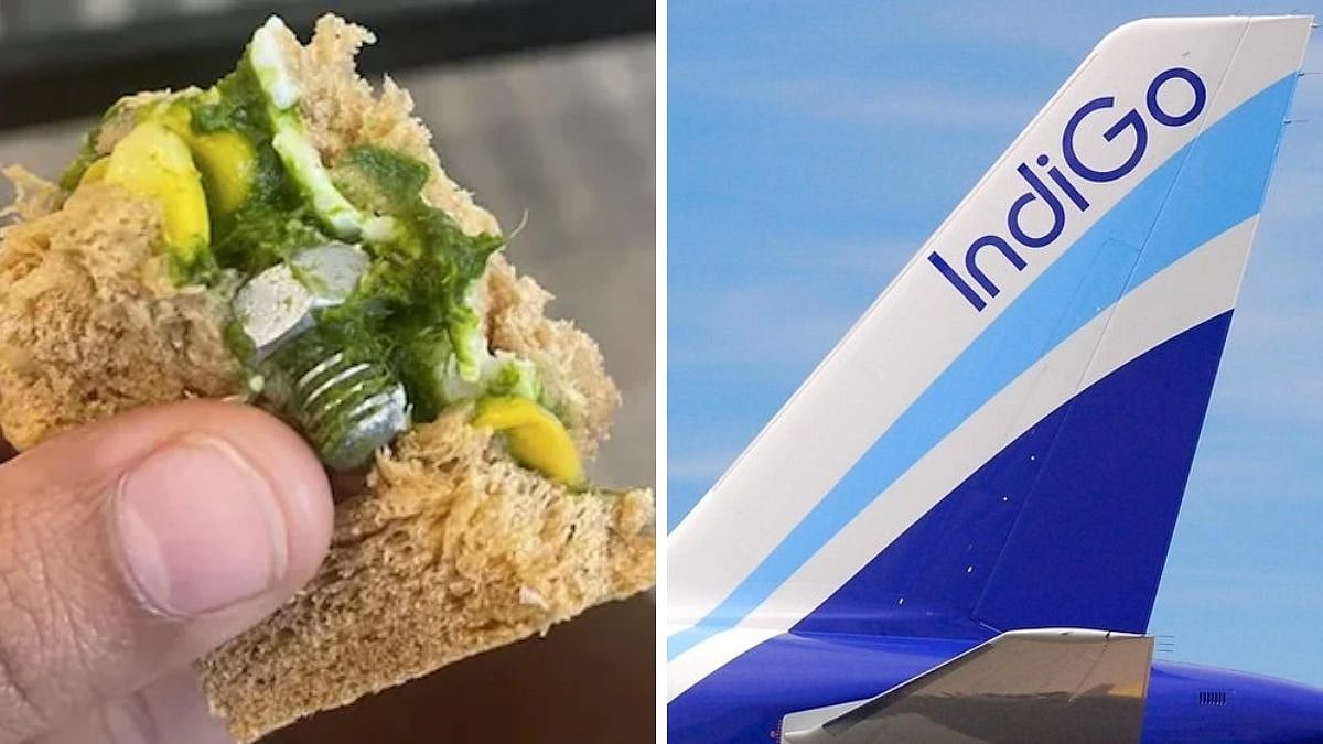 IndiGo Flyer Claims To Find Screw In Sandwich Served On Flight; Airline ...