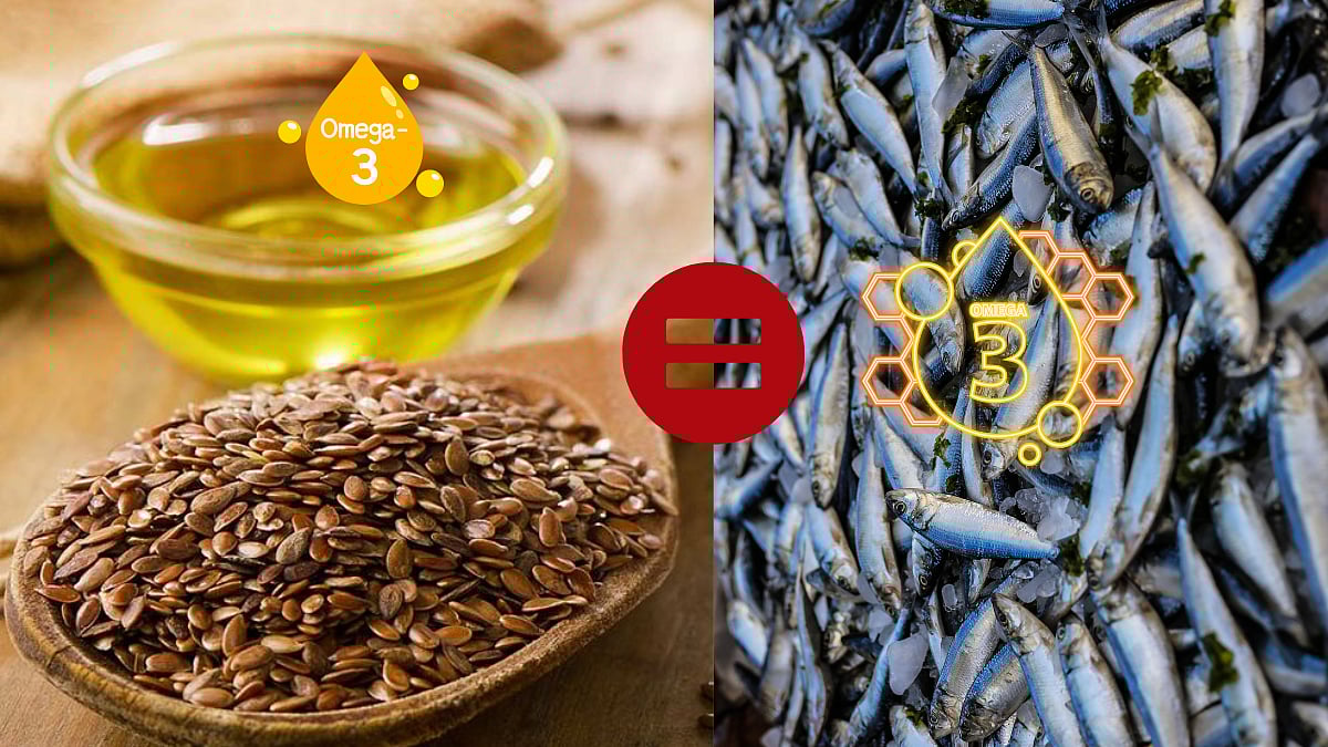 Don't Like Fish? Use Flax Seeds For Omega-3 Intake; Aids In Weight ...