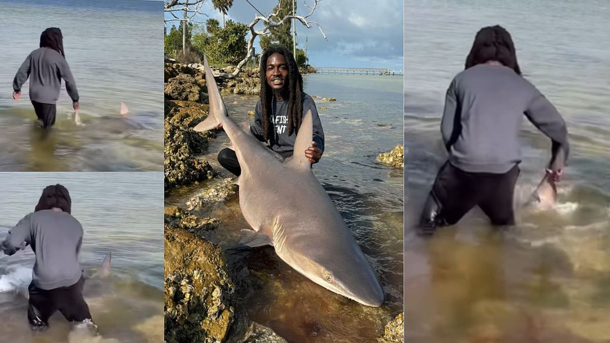 Man Fearlessly Catches Huge Shark With Bare Hands, Uploads Reel Online