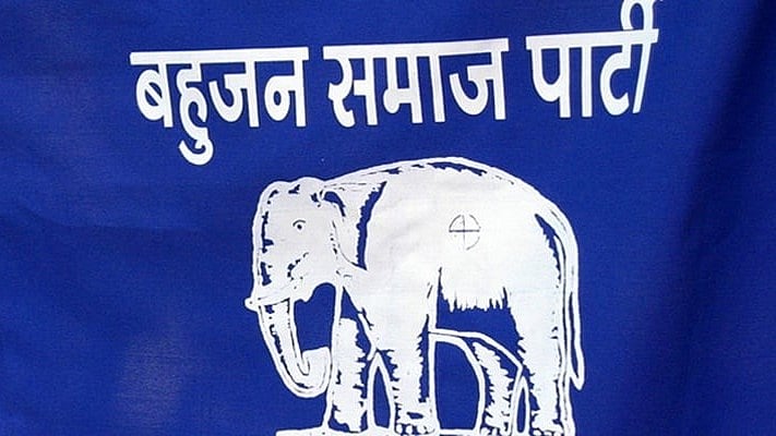 Lok Sabha Elections 2024: BSP Appoints Incharge For Muslim-Dominated Seats
