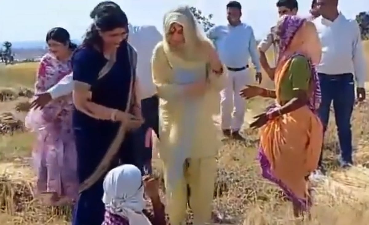 Congress MP Nakul Nath's Wife Works In Wheat Farm In Madhya Pradesh ...