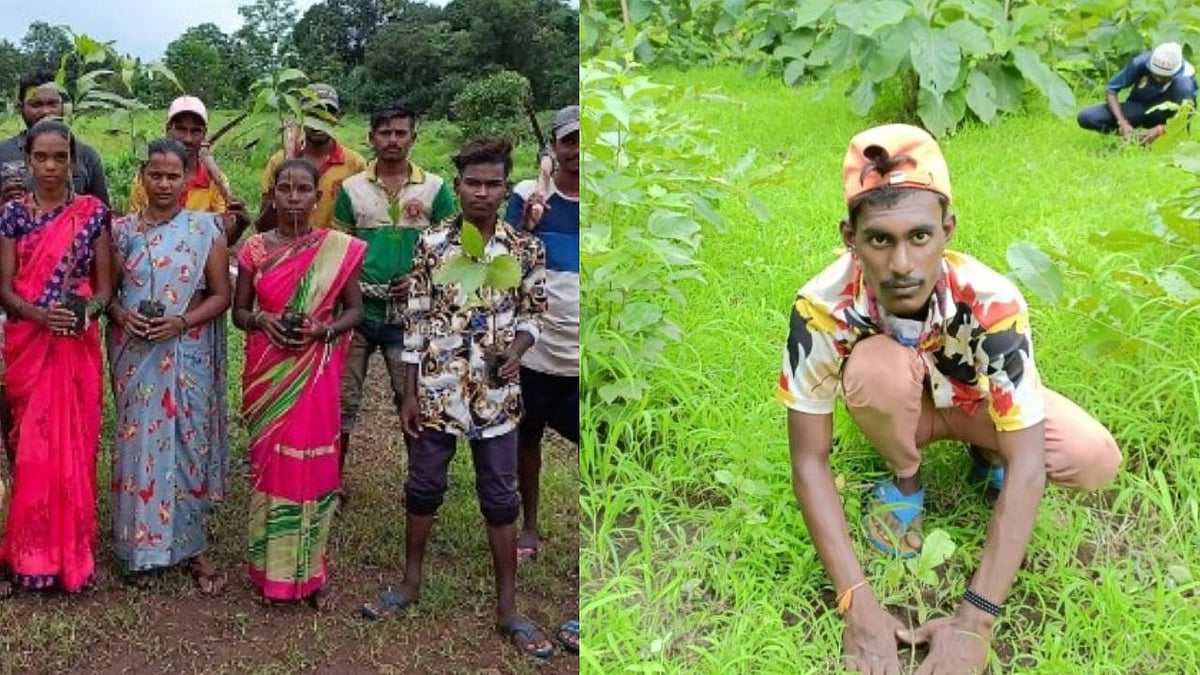Mumbai: Grow-Trees Program Crosses 19 Million Plantings Milestone ...