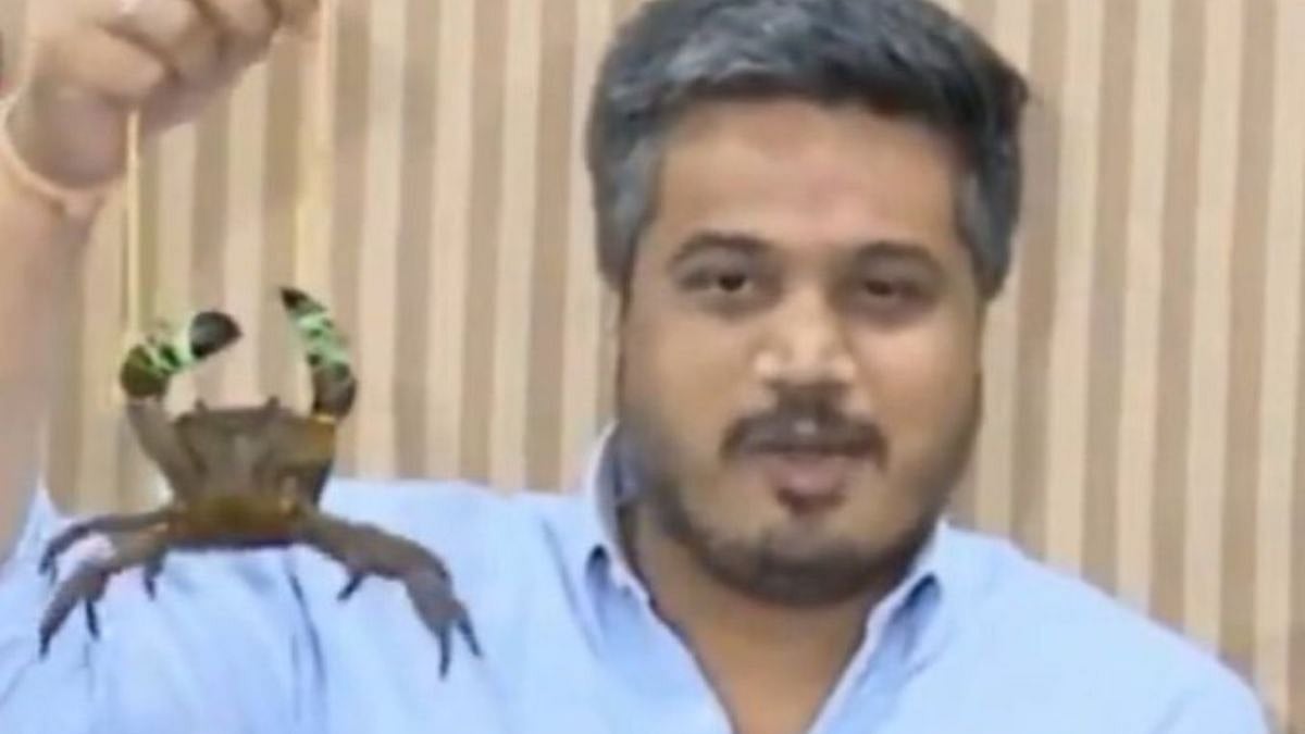 Mumbai News: PETA Files Complaint Against NCP (SP) MLA Rohit Pawar For ...