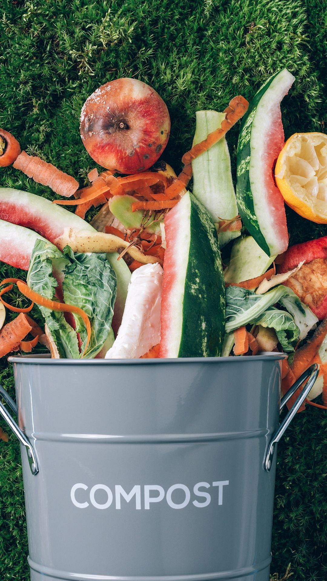 World Composting Day 2024: Ways To Observe This Day