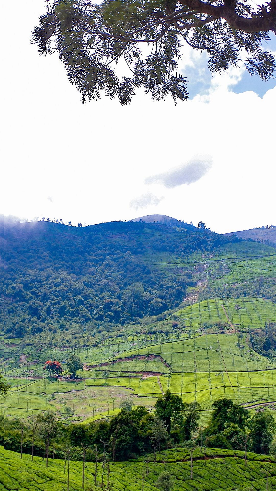 Coonoor In Pics: 7 Majestic Places To Explore In The Hill Station