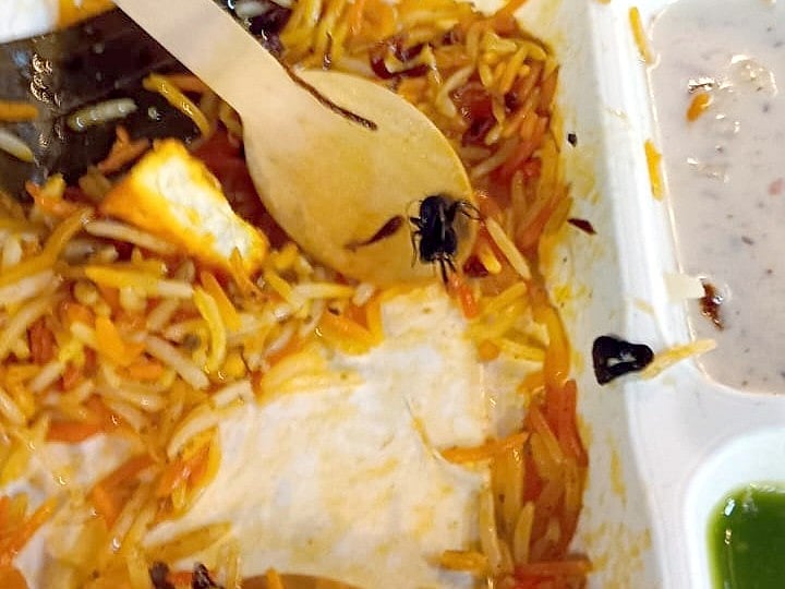 Madhya Pradesh: Insect Found In Biryani At Eatery In Rani Kamlapati ...
