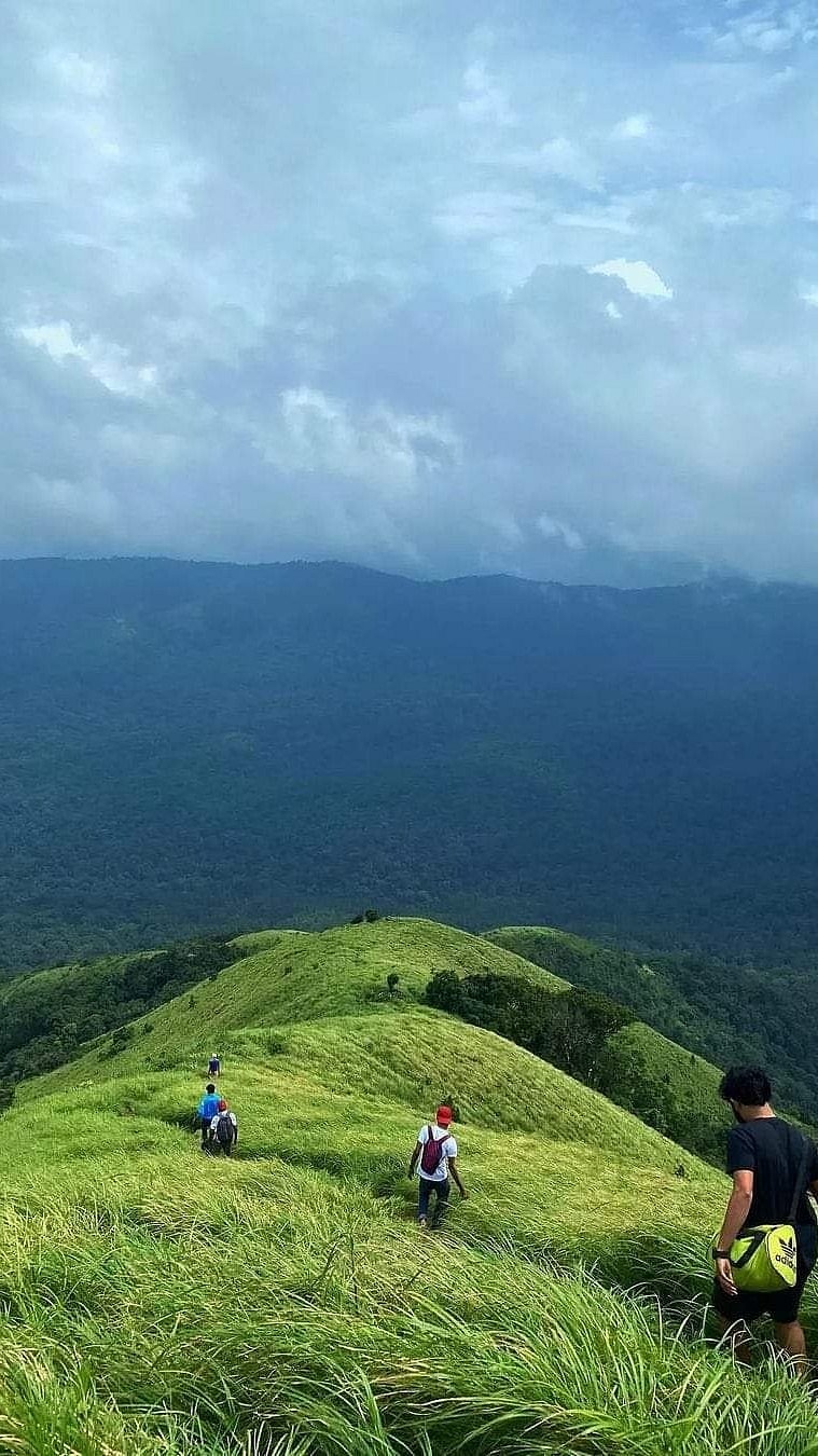 Wayanad IN PICS: Plan Your Monsoon Trip To This Mesmerising Place In Kerala
