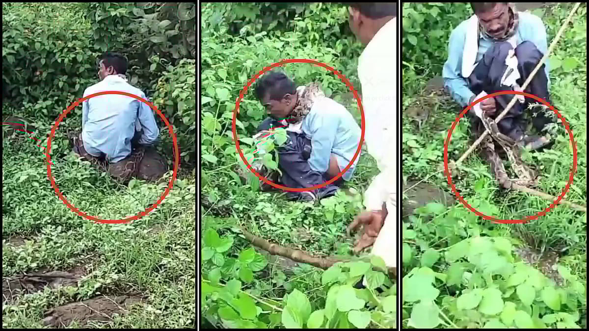 MP: 15-Foot Long Python Attacks Villagers In Jabalpur; Killed During ...