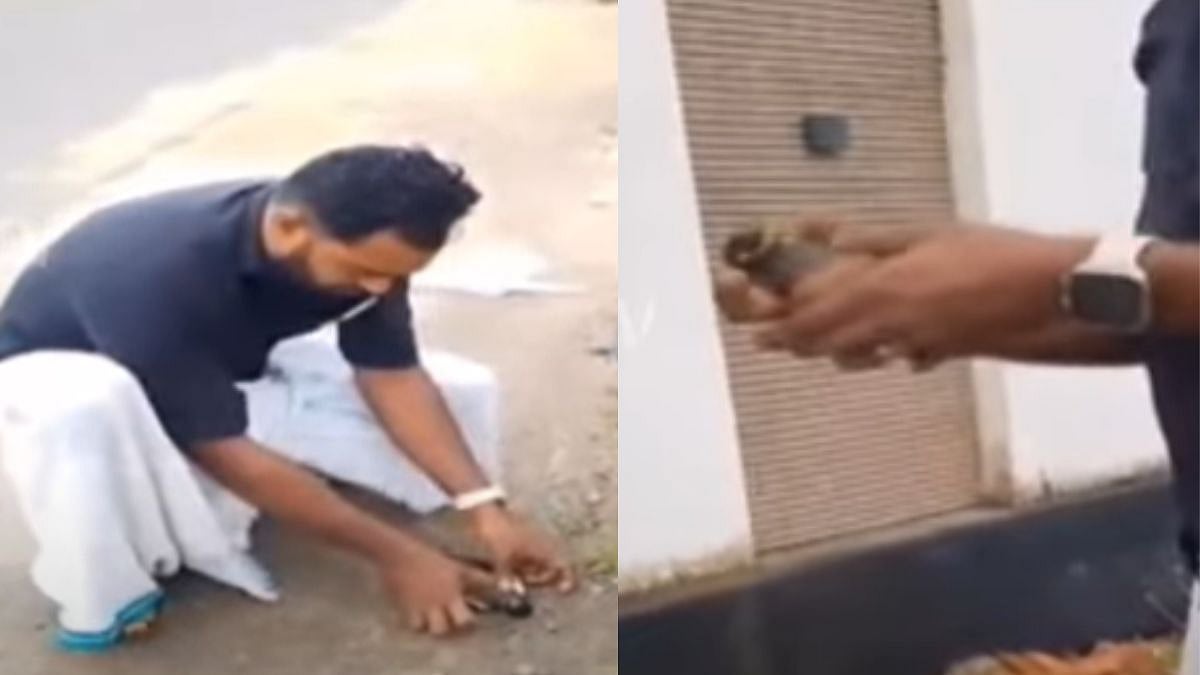 Kerala: Man Saves Myna By Performing CPR In Malappuram, Bird Flies ...
