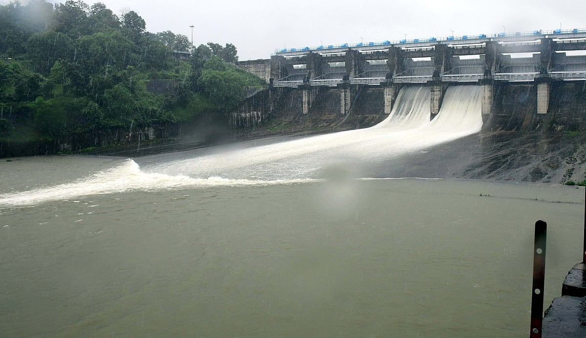 Madhya Pradesh: Gates Of Three Dams Opened As Heavy Rains Swell Up ...
