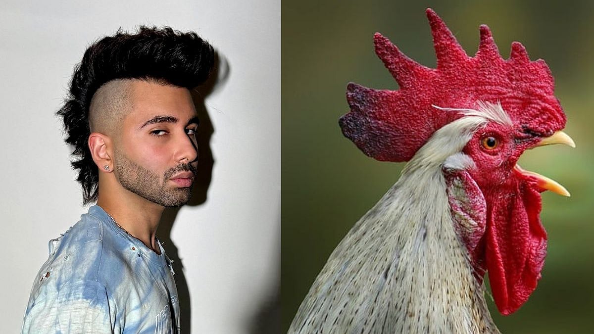 Orry Brutally Trolled For His New Look After He Mocks People Working In ...