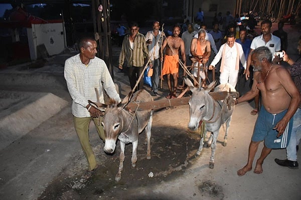 Praying For Rain: Unique Ritual In Mandsaur Involves Ploughing ...