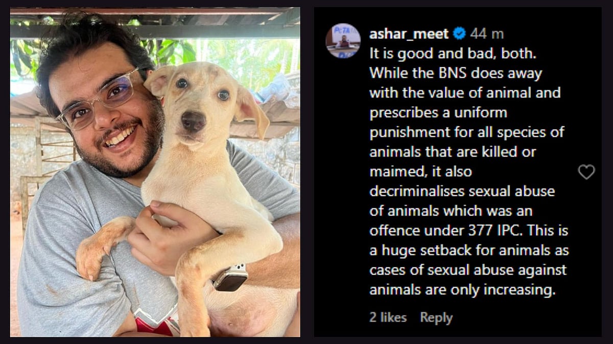 Attention Animal Lovers! Now, Section 325 Of Bharatiya Nyaya Sanhita ...