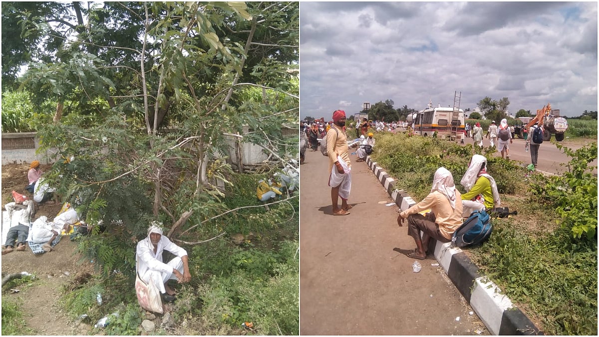 Maharashtra: 'Vruksh Wari' Pilgrims Plant 5000 Seeds To Restore ...