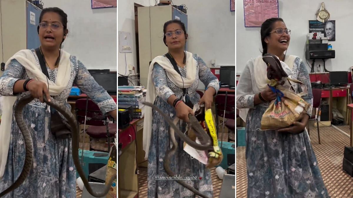 'What A Boss': Woman Catches Snake, Explains How To Handle Reptile ...