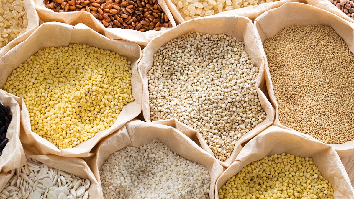Suffering From PCOS? These 5 Millets Can Be A Gamechanger, Know How You ...