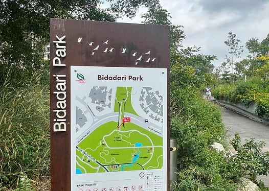 New Bidadari Park, Equal In Size To 18 Football Fields, Adds A Large ...