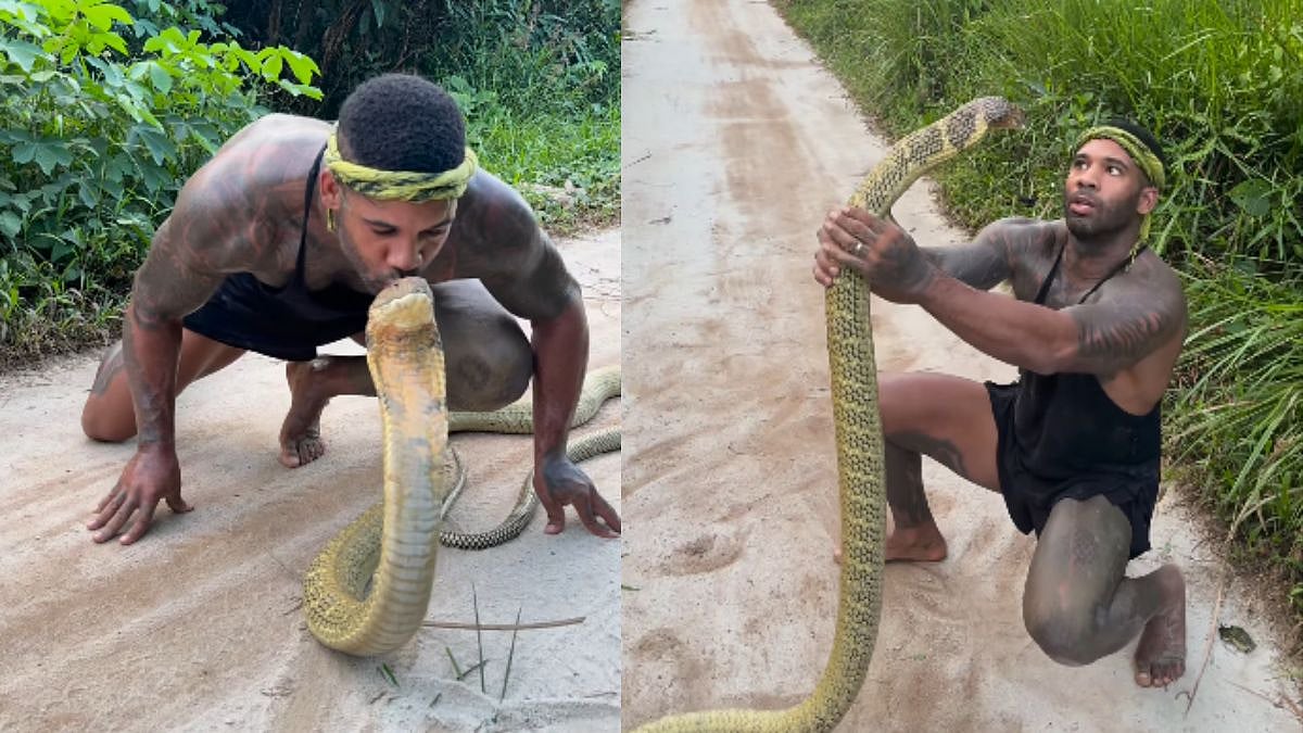 'The Real Tarzan' Fearlessly Plays & Kisses Snake In Viral Video, Stuns ...