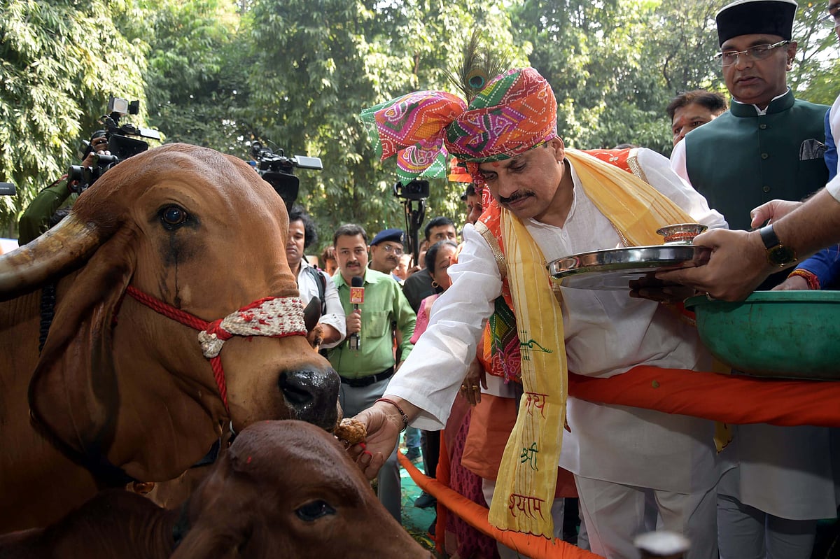 Govardhan Pooja: MP CM Mohan Yadav Says Credit Cards Will Be Given To ...