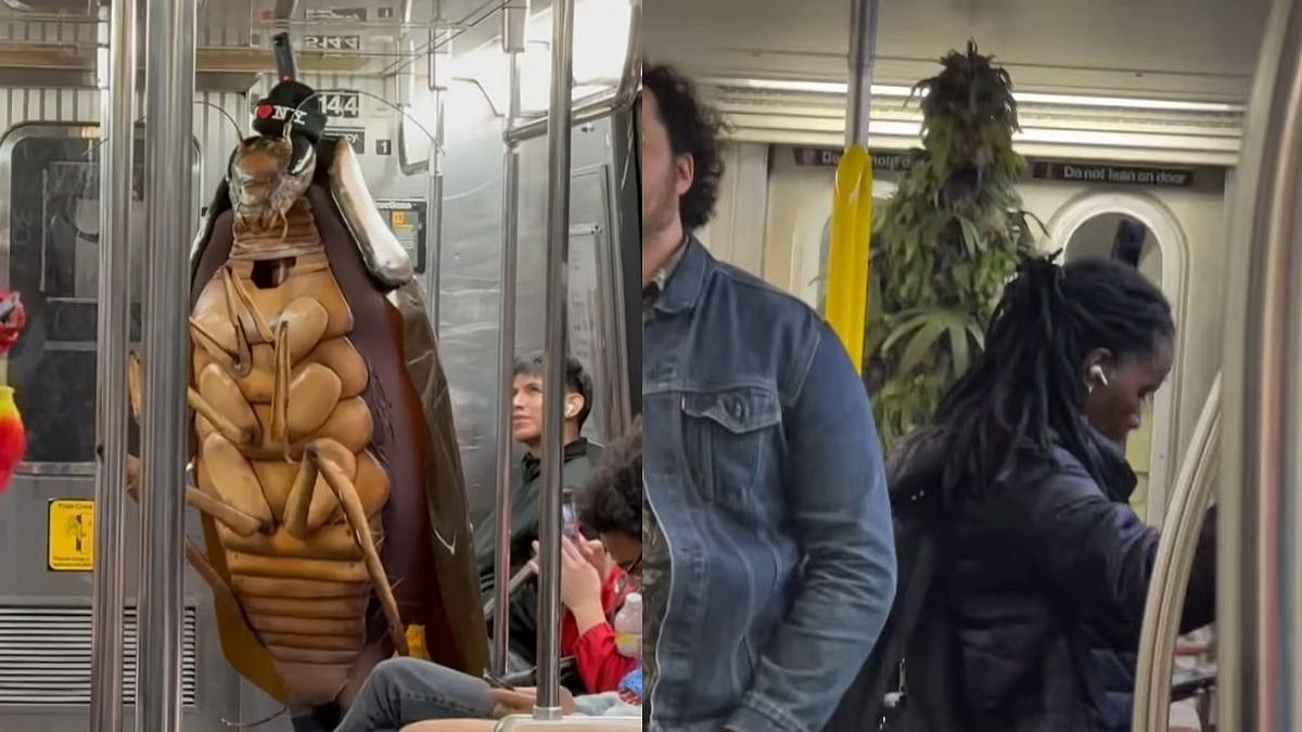 Videos: From Cockroach To Scary Tree Costume, Halloween Celebration At ...