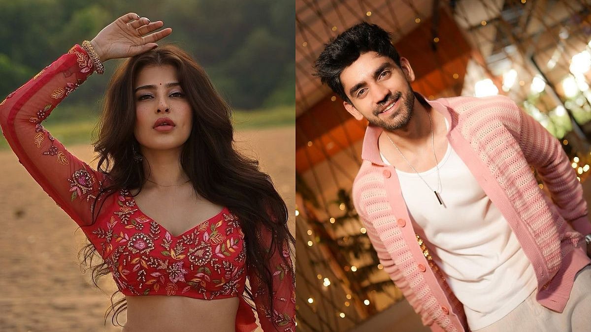 'Everyone Seems Like Vivian Dsena's Disciples': Bigg Boss 18 Wild Card ...