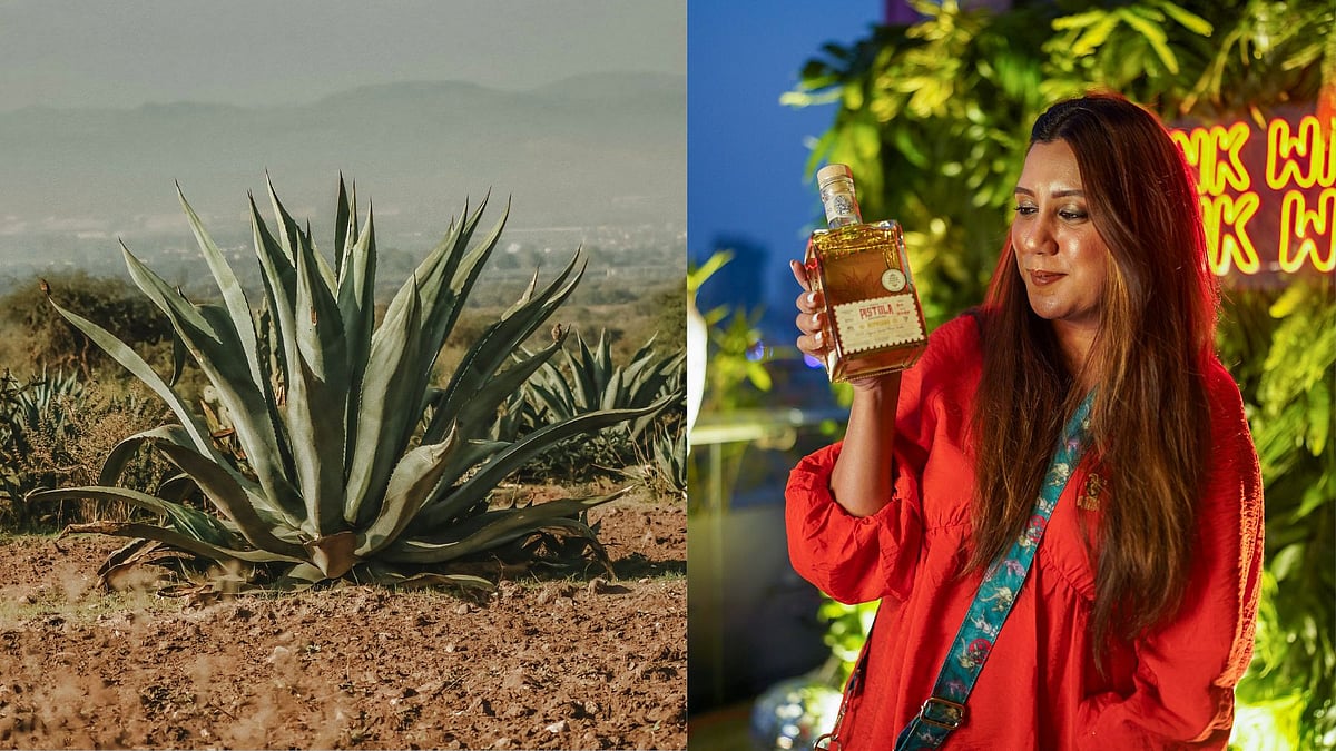 Raise Of Agave Spirits: Exploring India's Unique Sip Of Agave-Based ...