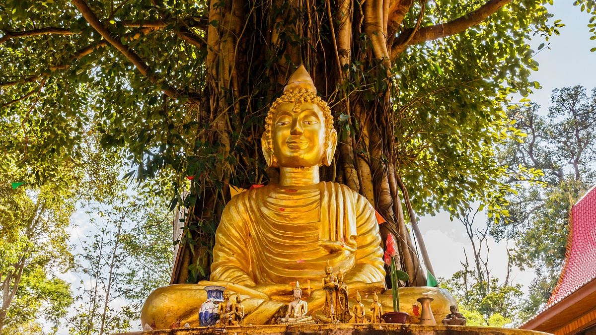Bodhi Day 2024: Date, History, Significance And All You Need To Know