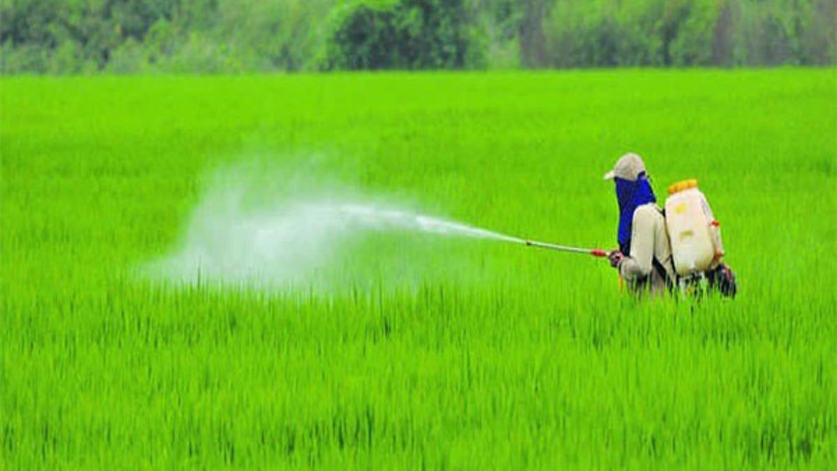 VIDEO: Union Cabinet Approves Extension Of PM Fasal Bima Yojana Till ...