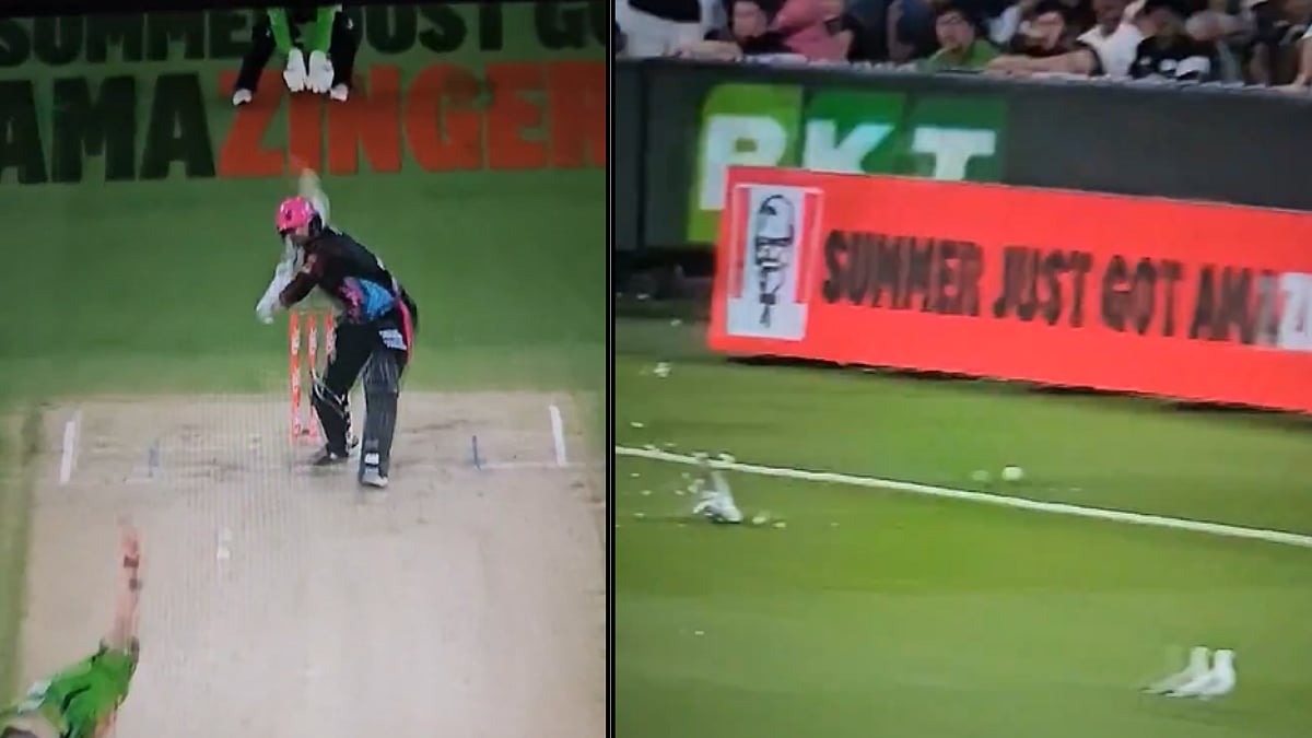 BBL 2024/25: James Vince Accidentally Hits Seagull At Boundary Line ...