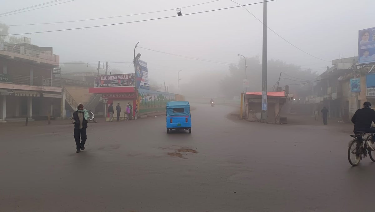 MP: Thick Fog & Frost Disrupt Life In Morena District, Bone-Chilling ...