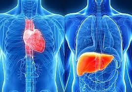 Heart & Liver Of 61-Year-Old Accident Victim Airlifted From Jabalpur To ...