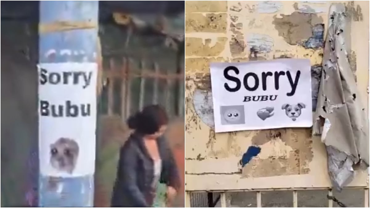 Sorry Babu Logo Bewertungen Zu Geizhals Preisvergleich | Lesen Sie ...