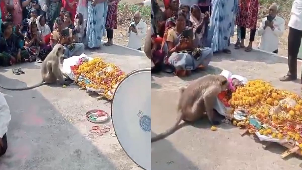 Heartwarming Video: Monkey Attends Elderly Woman's Funeral In ...