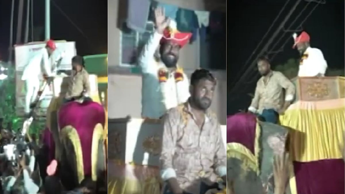 Pune Video: Elephant Ride At MLA Shankar Mandekar’s Felicitation Leads To Legal Action By Forest ...