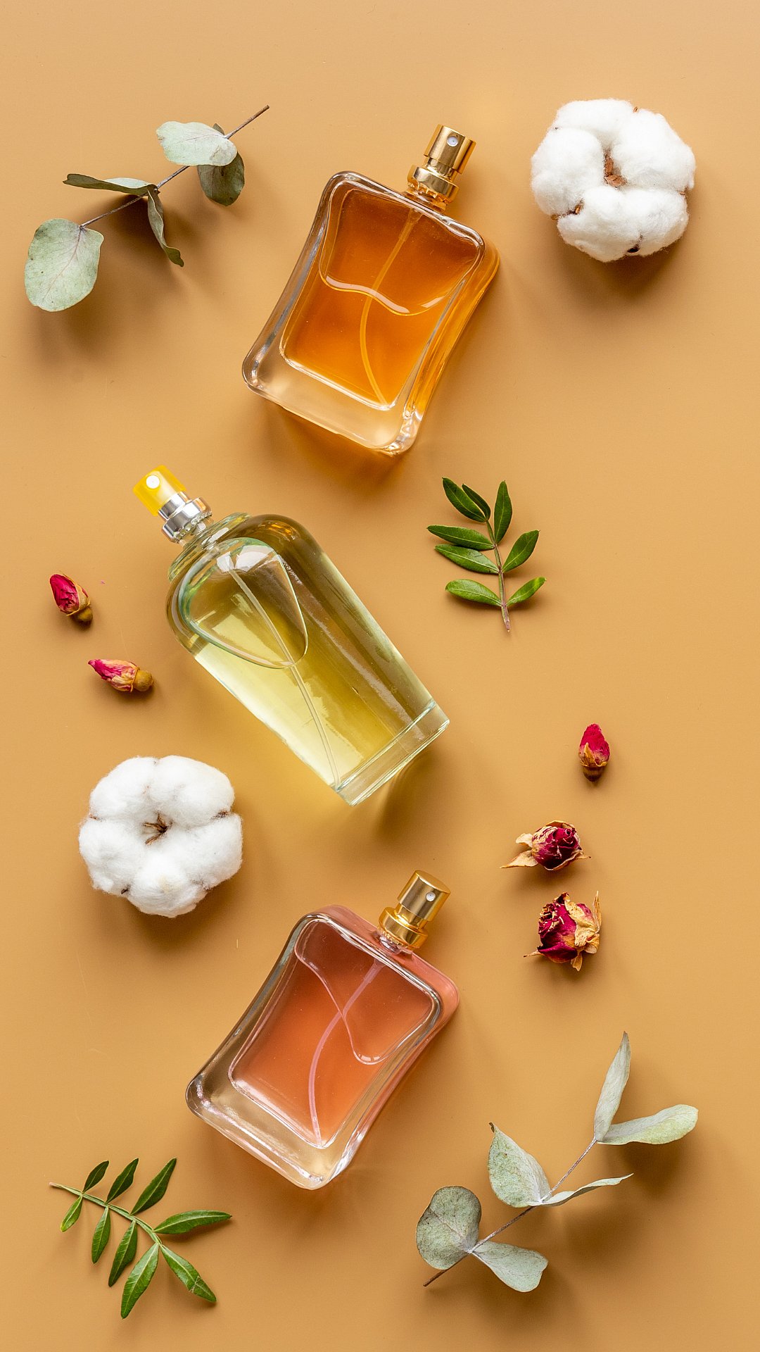 How To Apply Perfume Correctly? 6 Tips That Will Make Your Scent Last ...