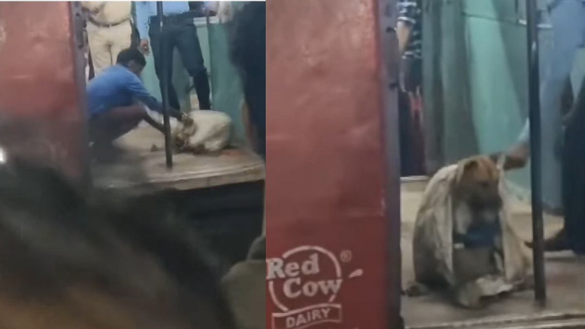 Animal Cruelty! Dog Found Stuffed In Jute Sack Dumped On Kolkata Train ...