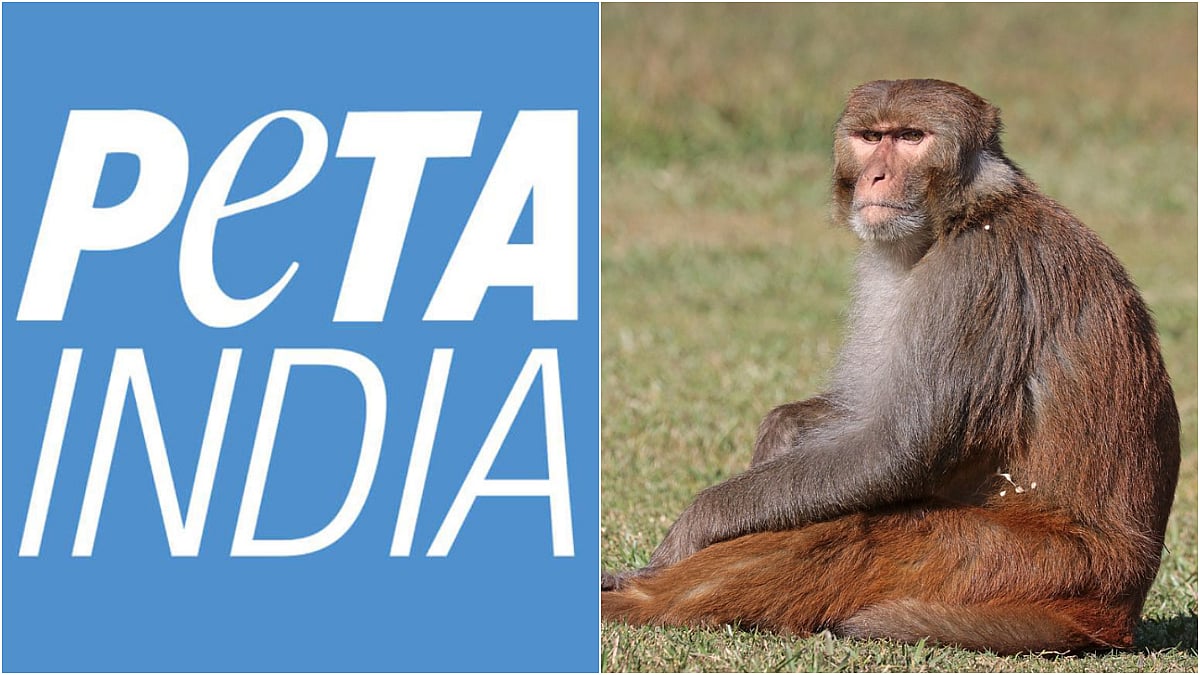 PETA India, Animal Welfare Groups Urge Reinstatement Of Legal ...