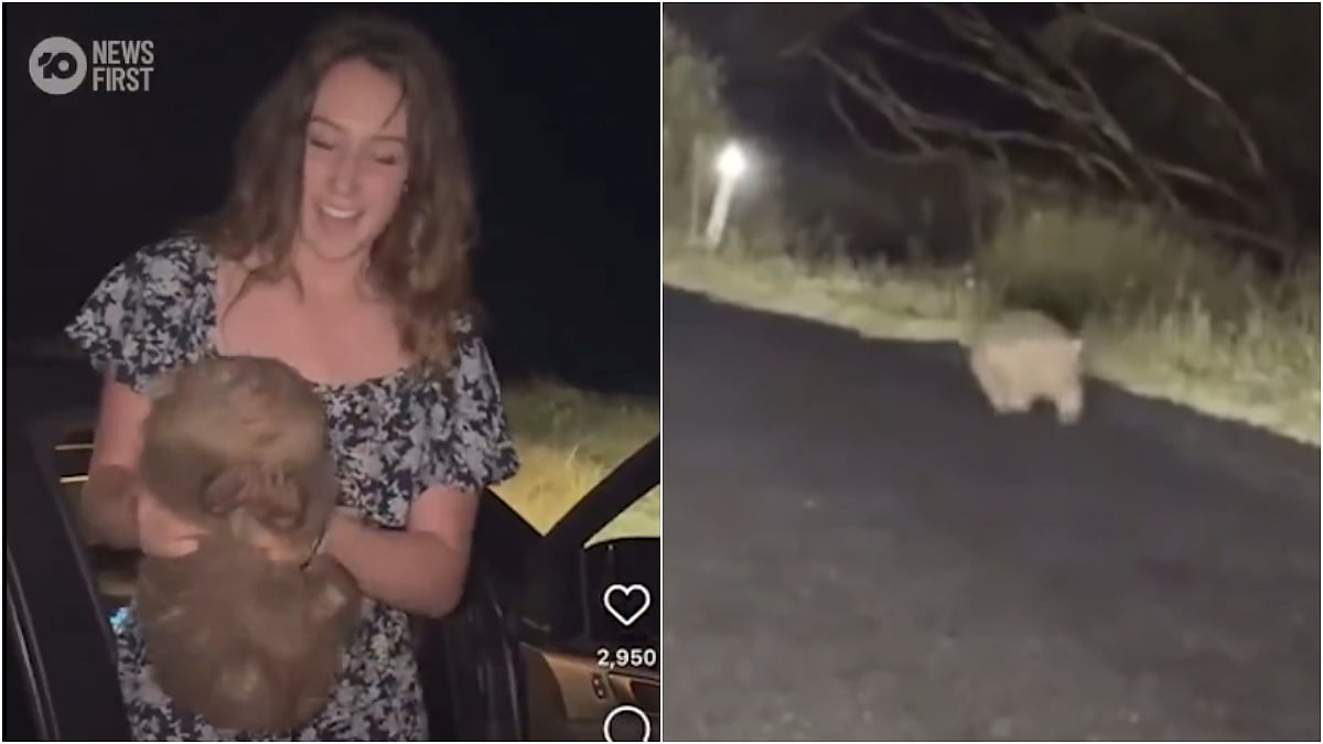 VIDEO: Australian PM Albanese Slams US Influencer Sam Jones For Taking ...