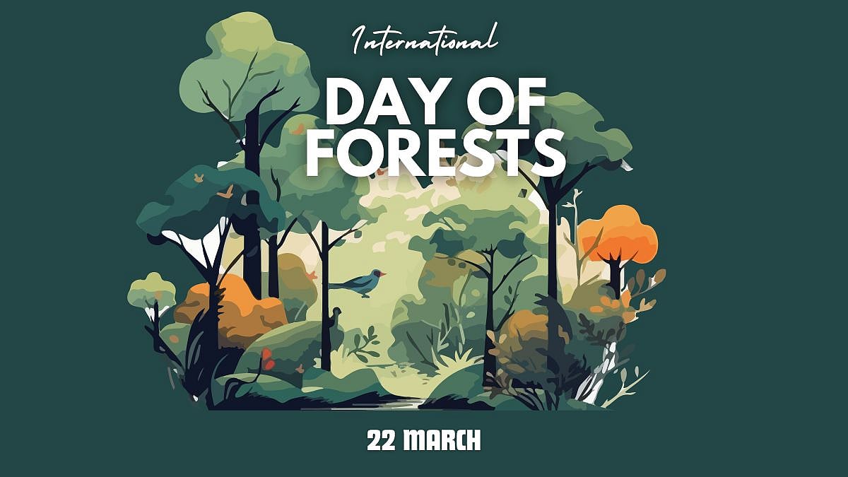 International Day Of Forests 2025: History, Theme, Significance, And ...